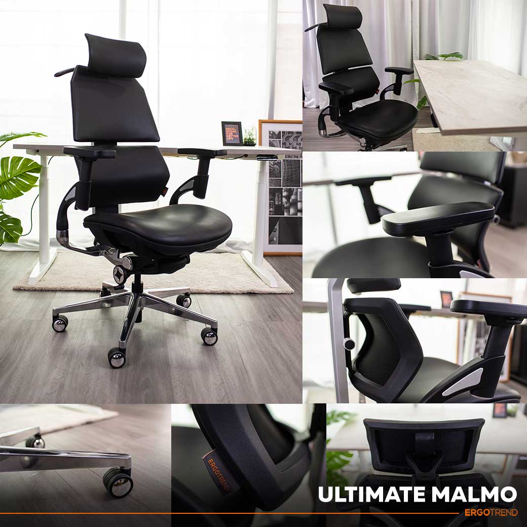 Ergotrend เก้าอี้เพื่อสุขภาพเออร์โกเทรน รุ่น Ultimate Malmo black - บริษัท เอ็มพีซินเนอร์จี ...